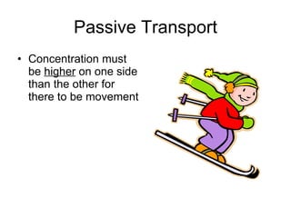 Cell Transport | PPT