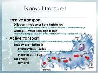 Types Of Cell Transport