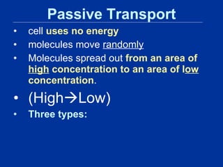 Cell transport | PPT