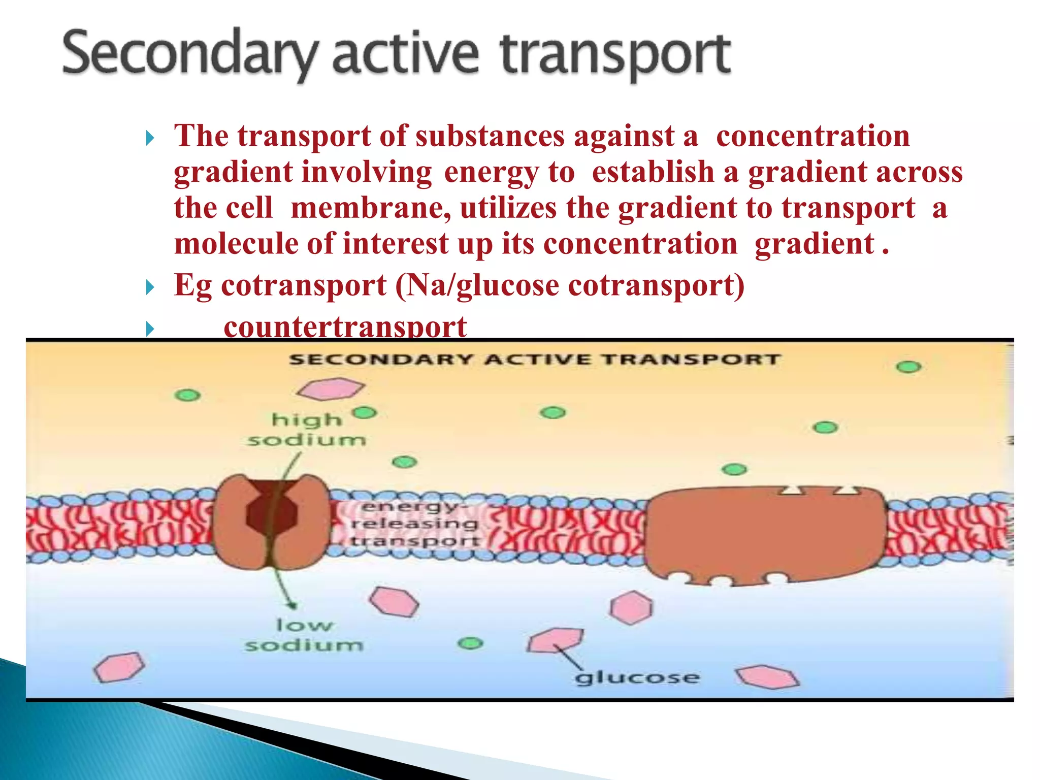 Cell transport | PPTX