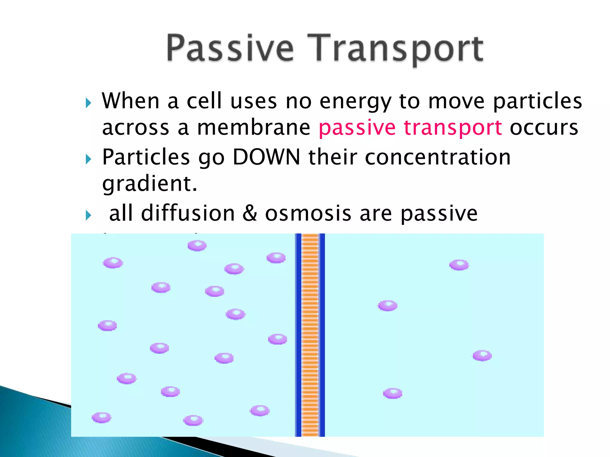 Cell transport | PPTX
