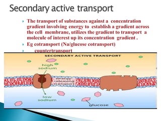 Cell transport | PPTX