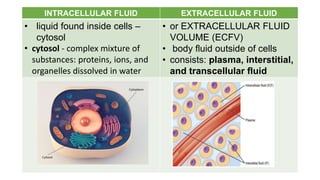 Medicine Level 1 Physiology: Cell Transport | PPT