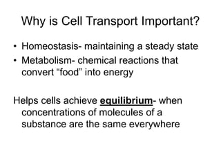 Cell_Transport.ppt
