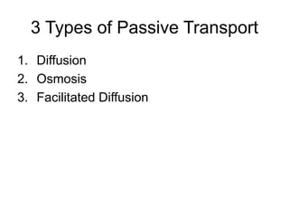 Cell_Transport.ppt