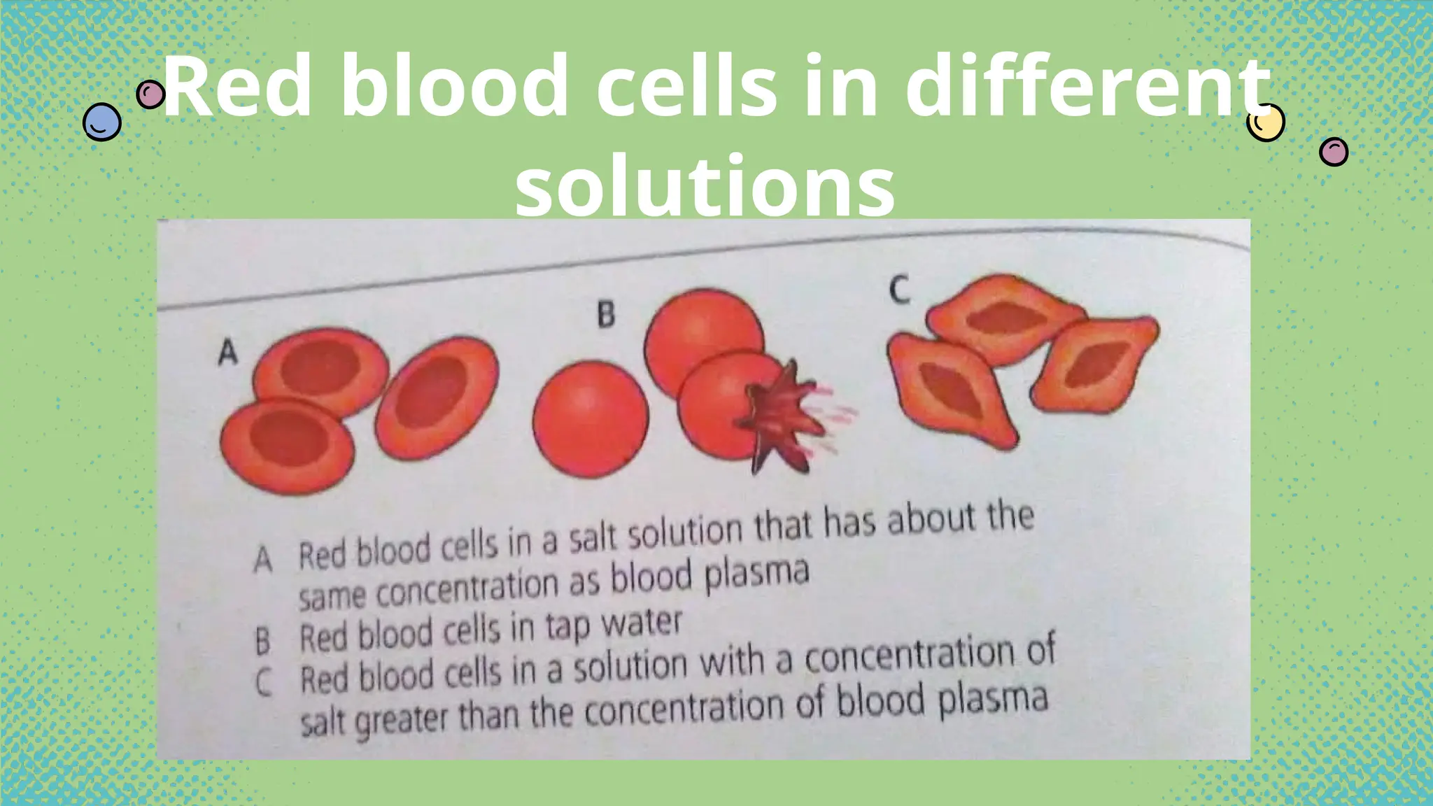 Biology Cell Transportation(complete).pptx