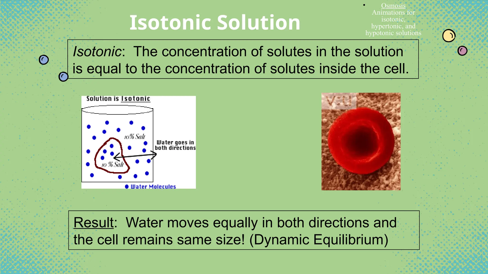 Biology Cell Transportation(complete).pptx