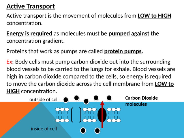 Introduction to Cell Transport mechanisms | PPT
