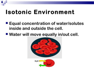 Cell transport.ppt n | PPT