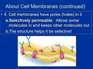 Cell Transport 1 | PPT