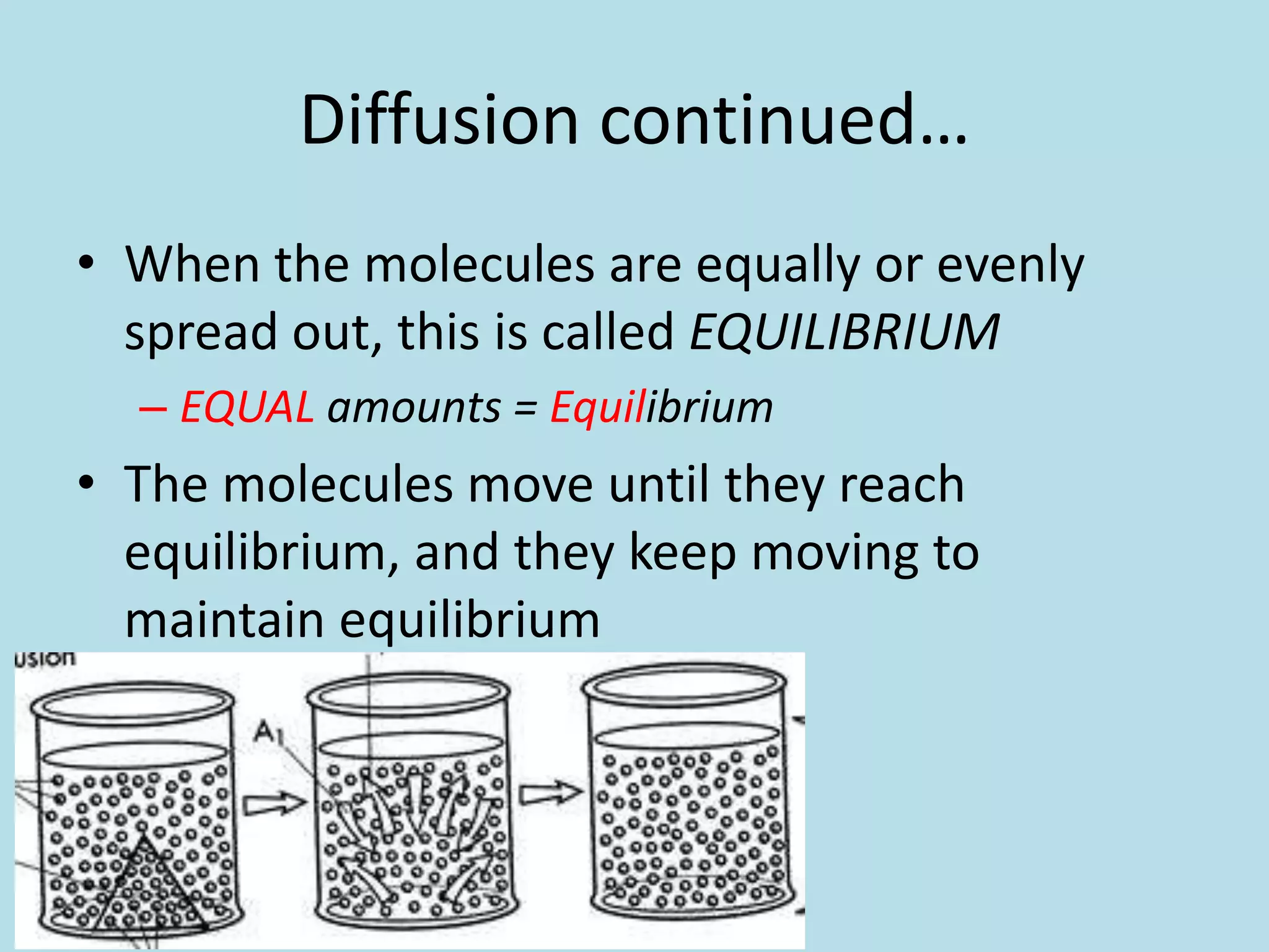 Cell transport and diffusion | PPT