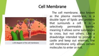 CELL TRANSPORTATION.pptx