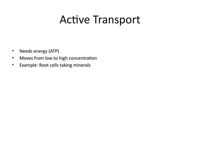 Cell_Transport_Grade7_Simple.pptx.......... | PPTX