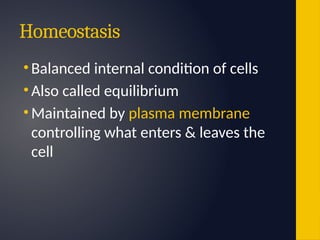 Comprehensive Overview of Cell Membrane Structure and Transport ...
