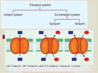 Cell transport mechanism-Biochemistry .pptx