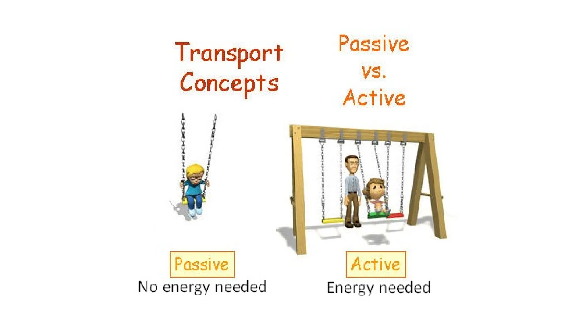 active passive CELL TRANSPORT MECHANISM....pptx