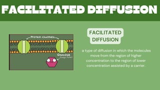 Cell Transport Mechanism(2024)IMRC,Ice_Trae (1).pdf