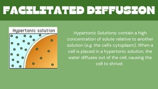 Cell Transport Mechanism(2024)IMRC,Ice_Trae (1).pdf