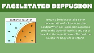 Cell Transport Mechanism(2024)IMRC,Ice_Trae (1).pdf