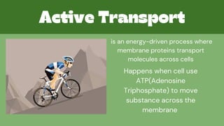 Cell Transport Mechanism(2024)IMRC,Ice_Trae (1).pdf