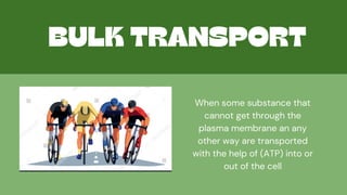 Cell Transport Mechanism(2024)IMRC,Ice_Trae (1).pdf