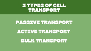 Cell Transport Mechanism(2024)IMRC,Ice_Trae (1).pdf