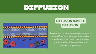 Cell Transport Mechanism(2024)IMRC,Ice_Trae (1).pdf