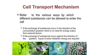 Cell Transport Mechanisms General Biology I.pptx