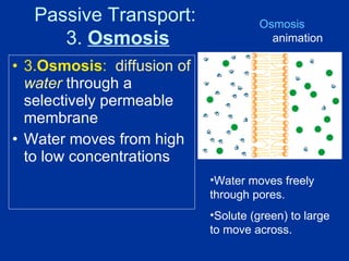 Cell transport notes 2006 | PPT