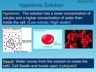 Cell transport notes | PPT