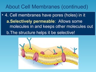 Cell transport notes | PPT