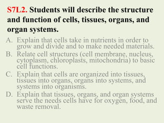 Cell Transport Powerpoint.pptx