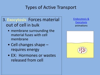 Cell Transport Powerpoint.pptx