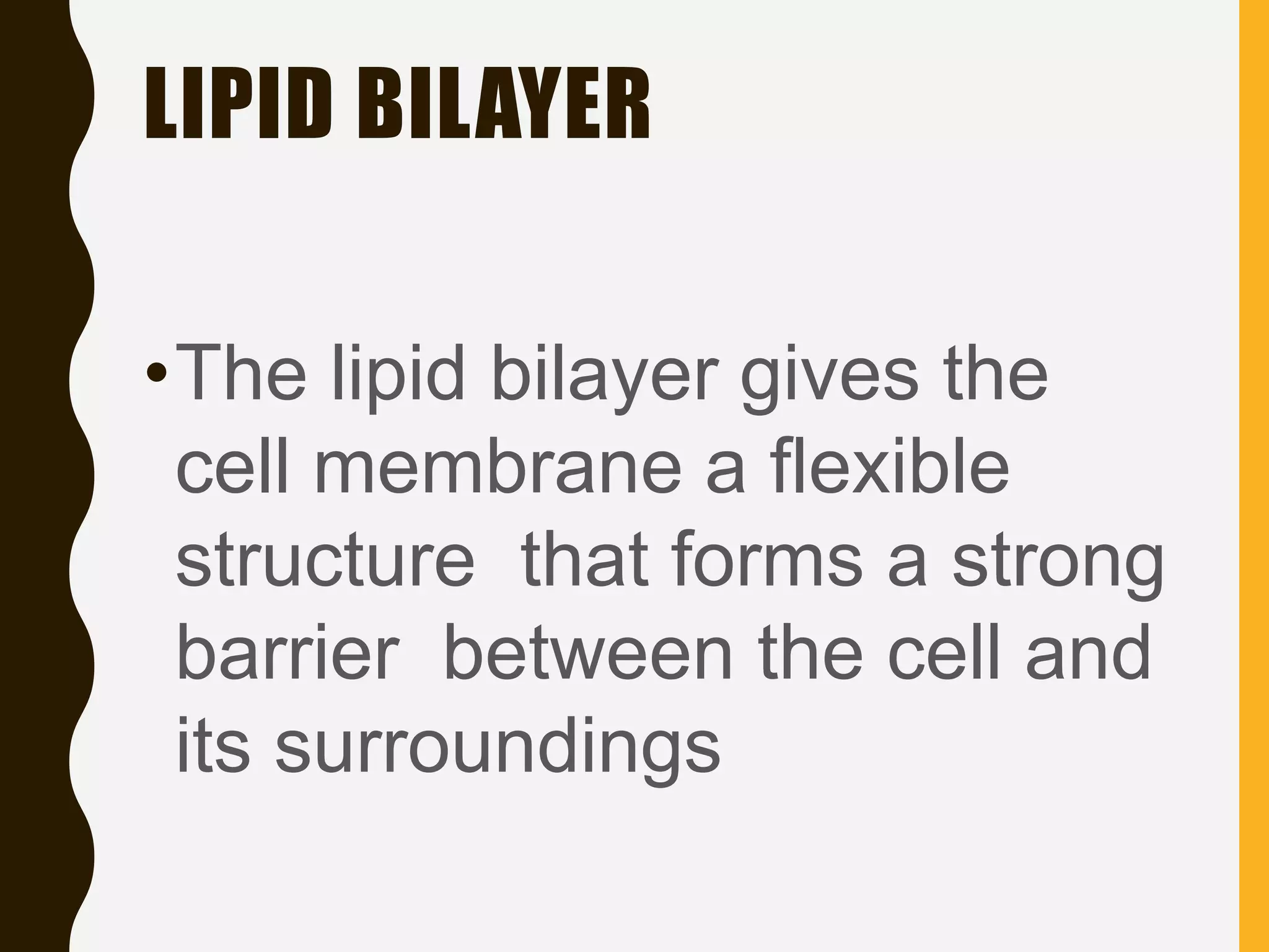 Cell Transport ppt.ppt