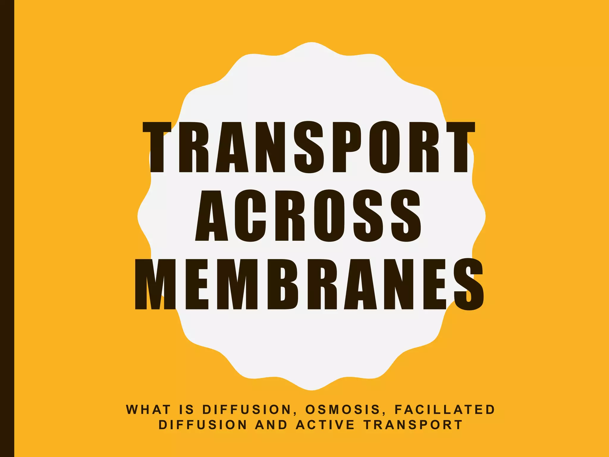 Cell Transport ppt.ppt