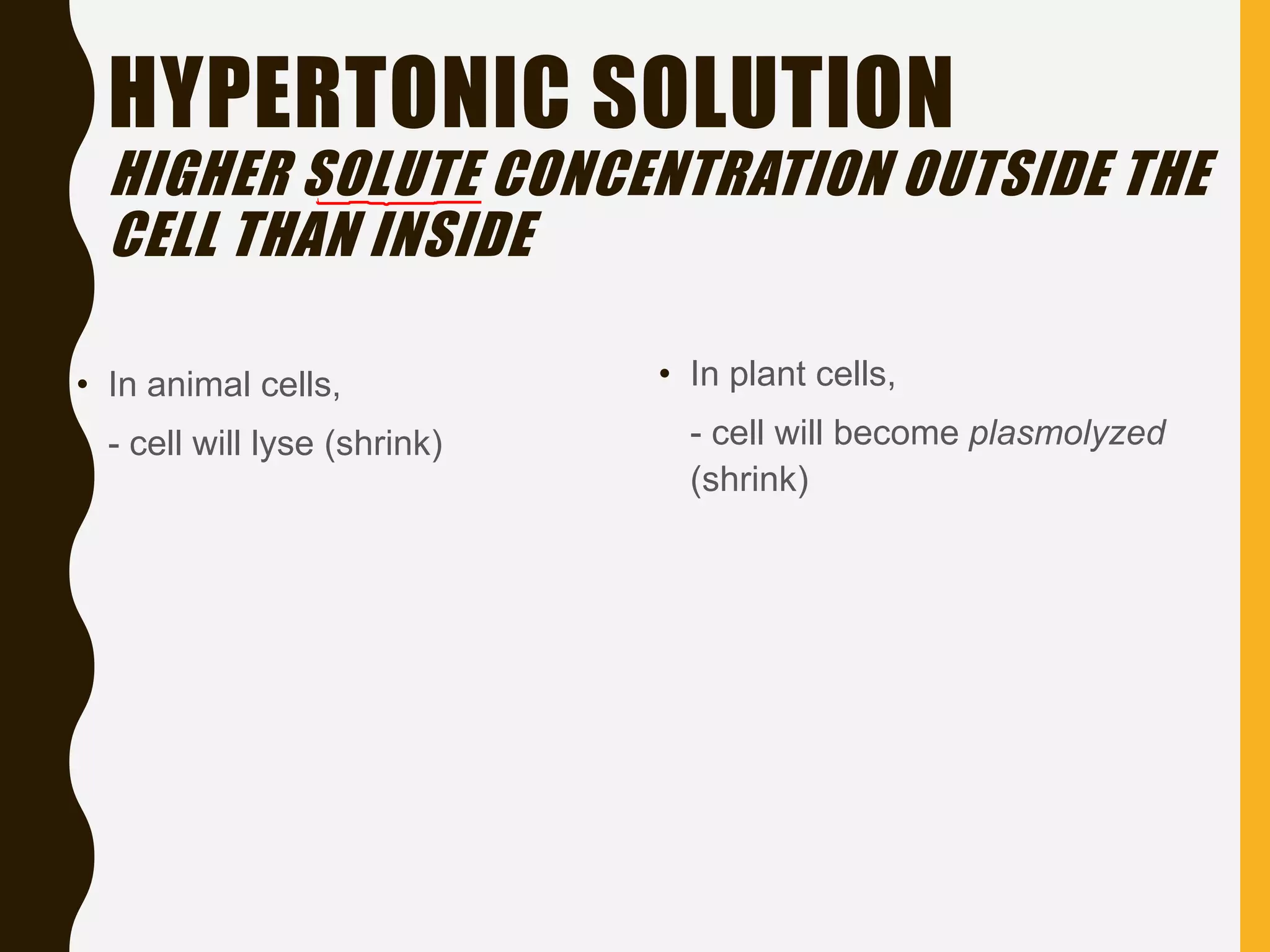 Cell Transport ppt.ppt