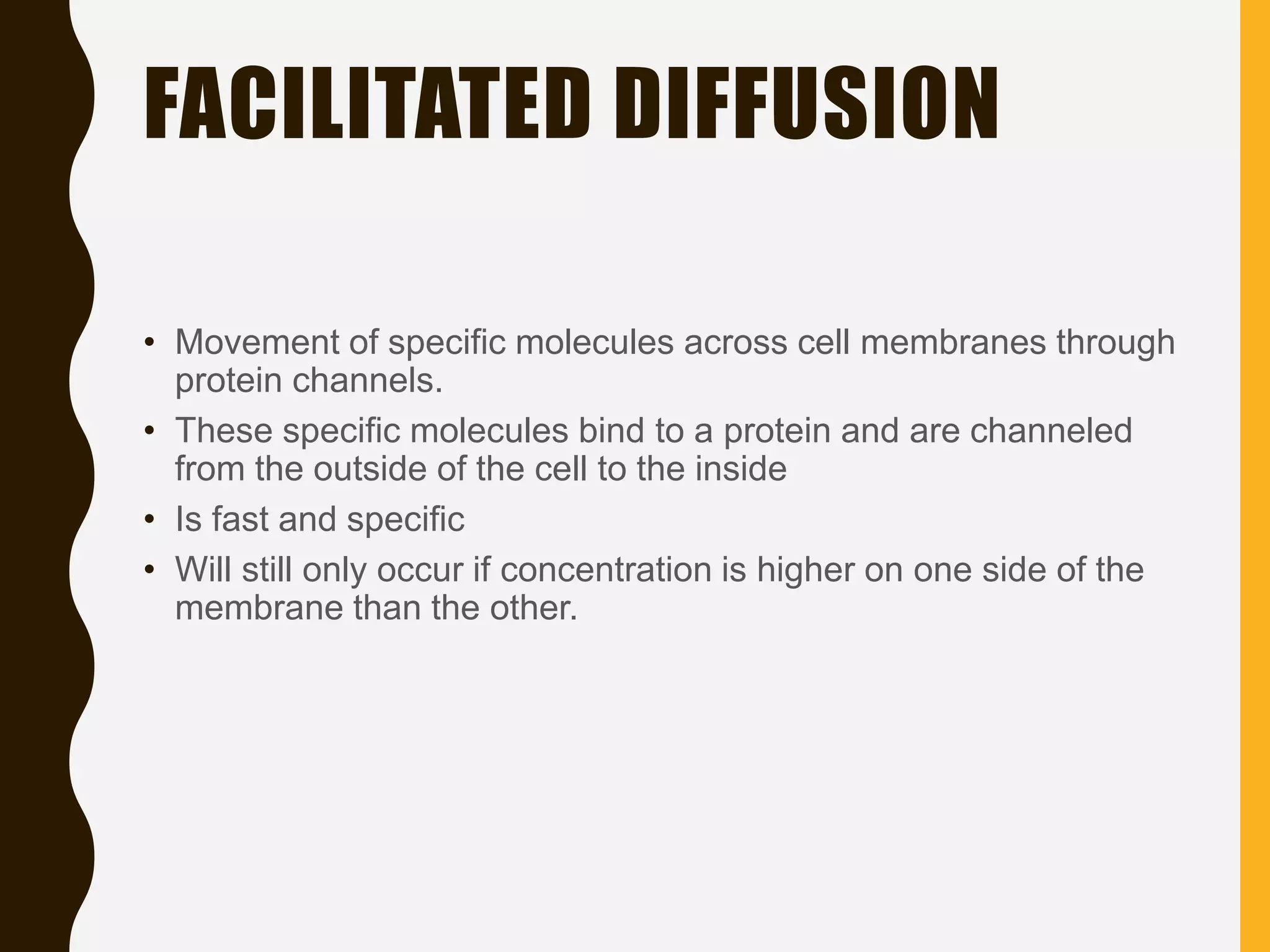 Cell Transport ppt.ppt