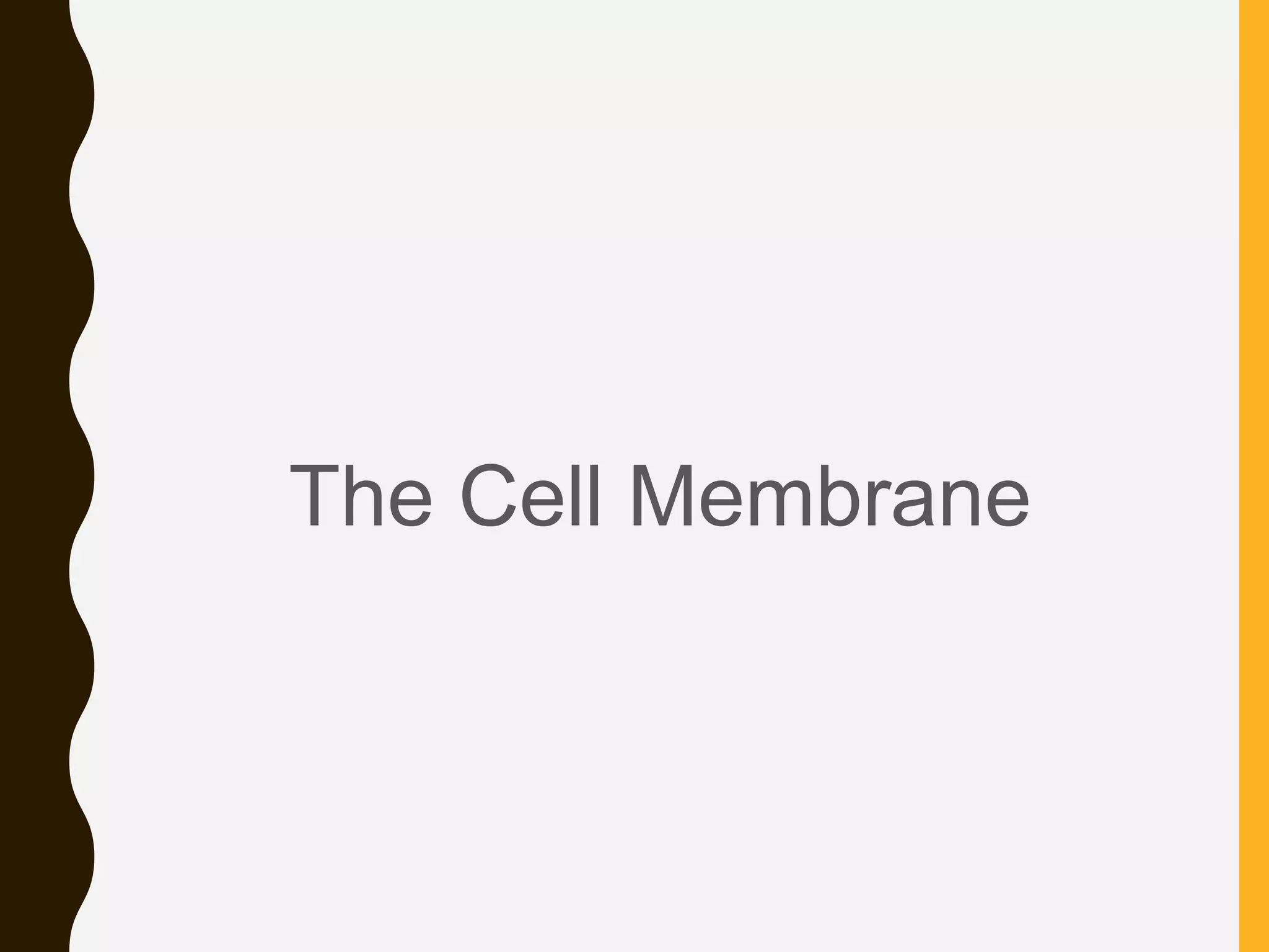 Cell Transport ppt.ppt