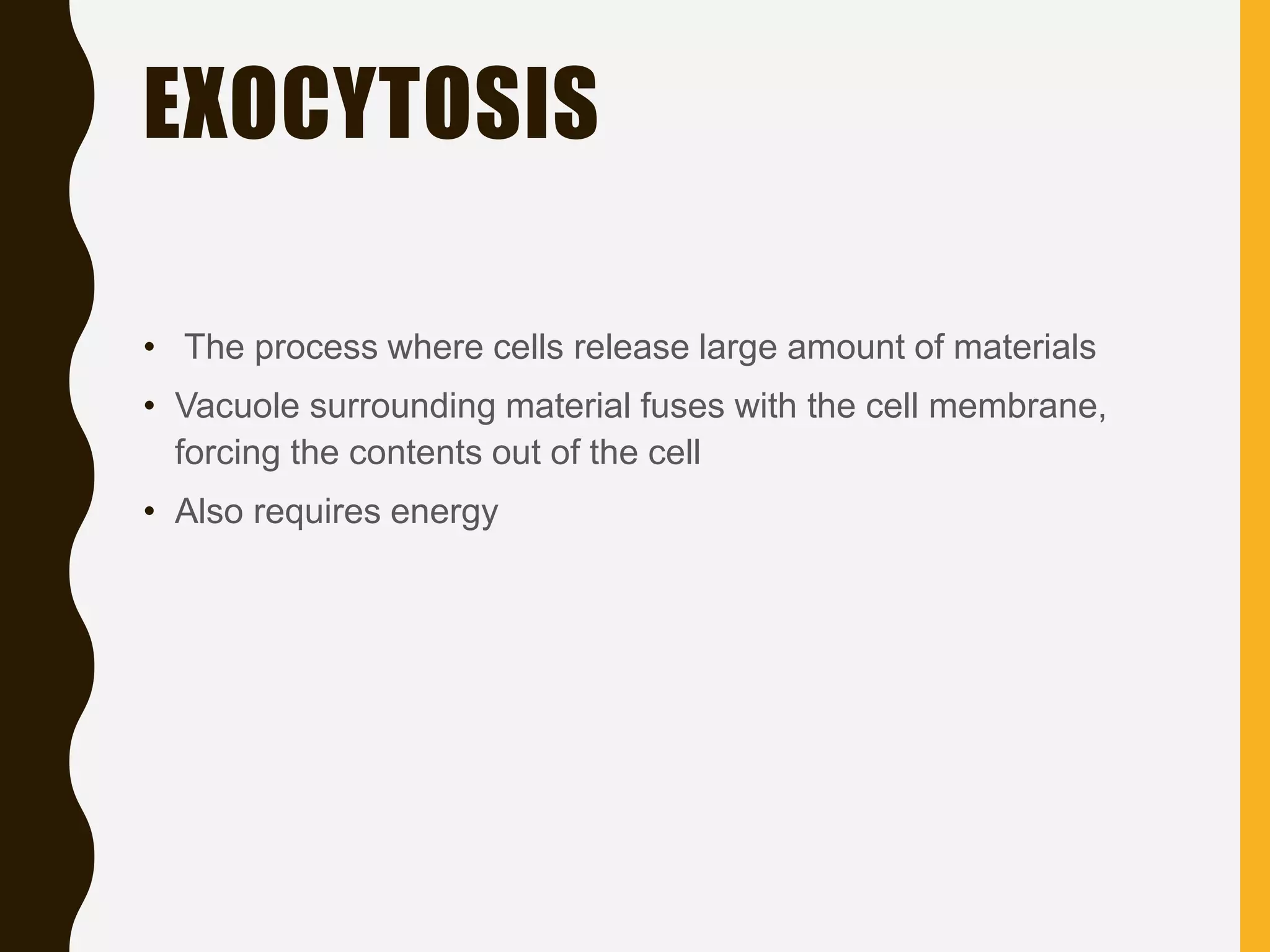 Cell Transport ppt.ppt