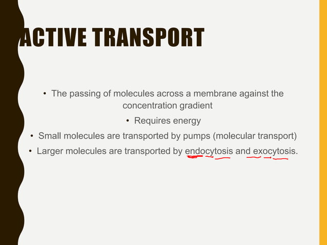 Cell Transport ppt.ppt