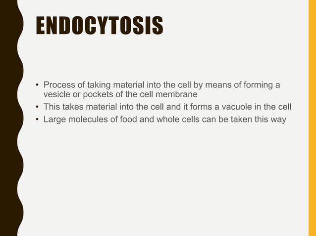 Cell Transport ppt.ppt