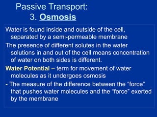 Cell Transport PowerPoint, including active transport, passive ...