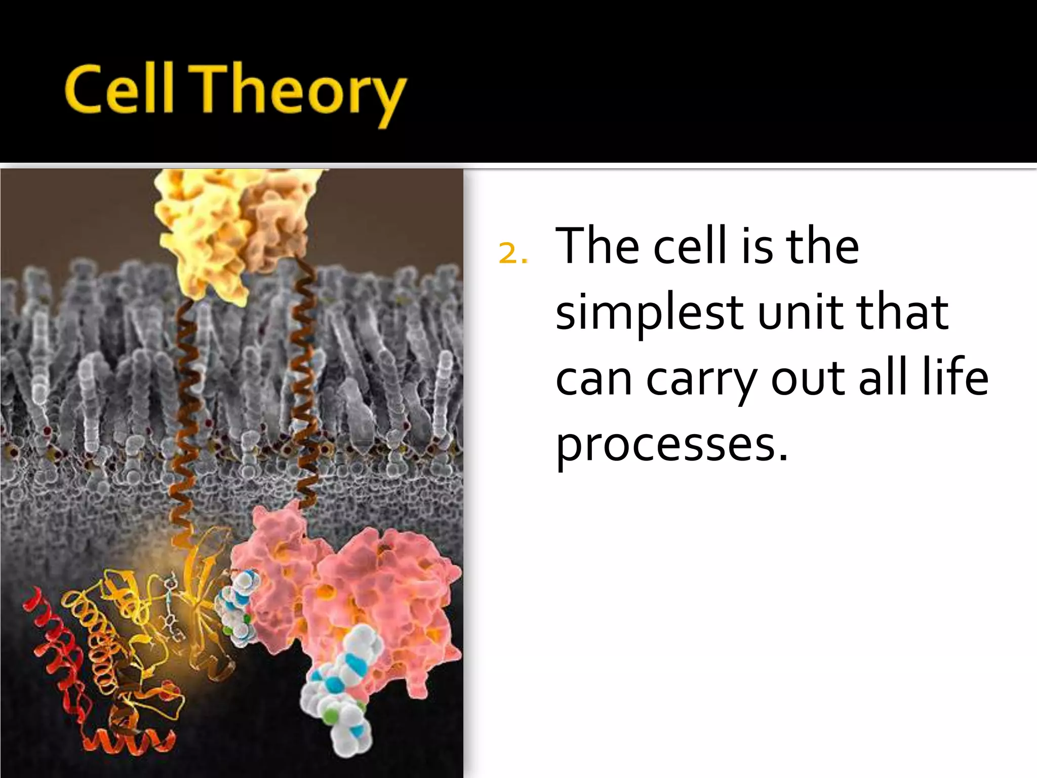Cell theory & types of cells | PPTX
