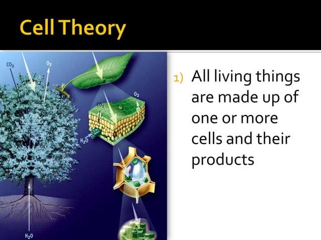Cell theory & types of cells | PPTX