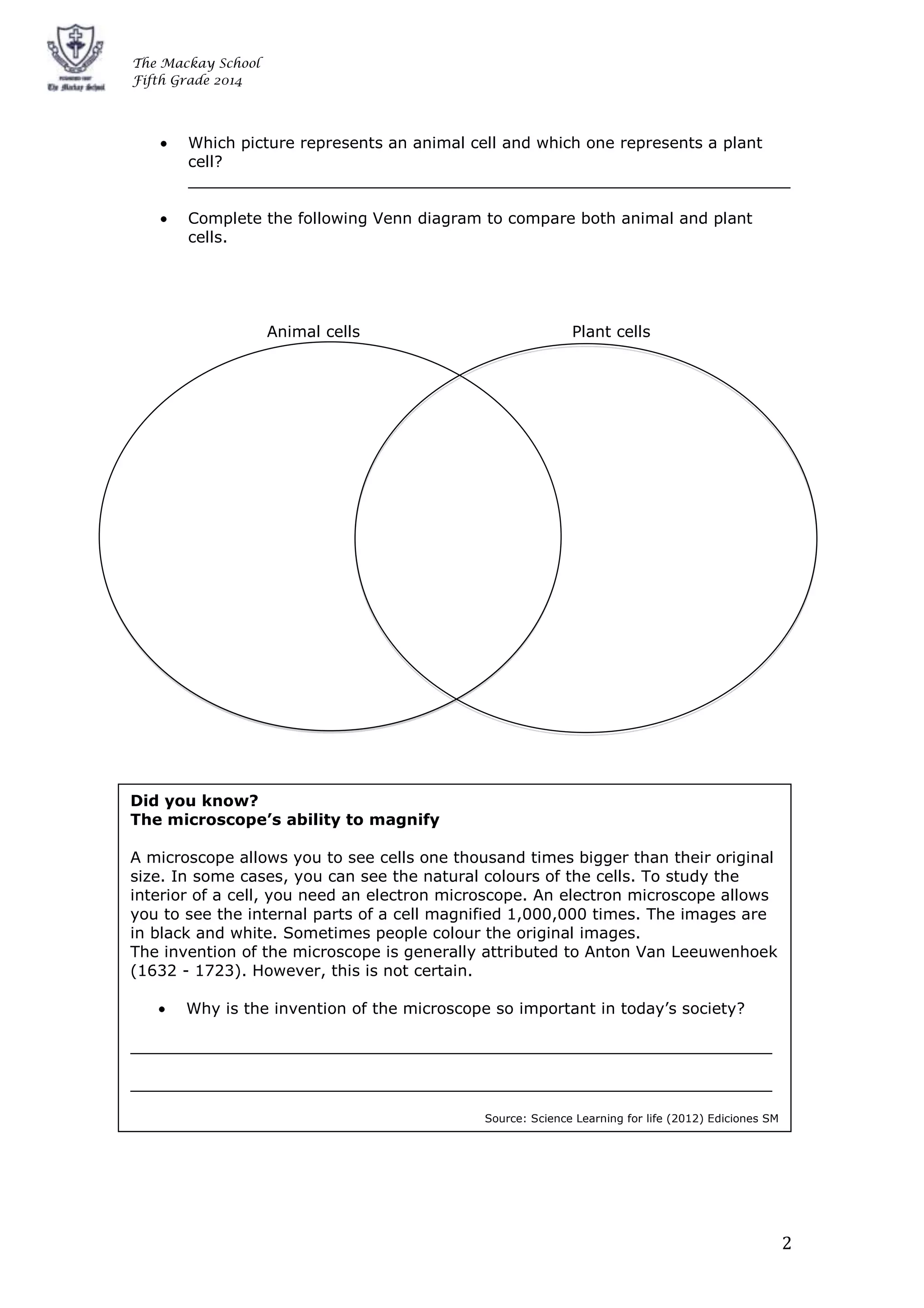 Cell types | DOCX