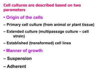 cell types.ppt