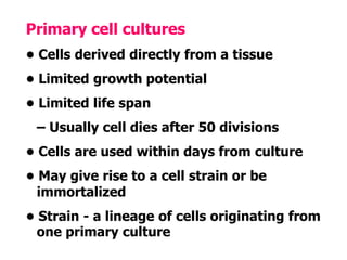 cell types.ppt