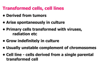 cell types.ppt