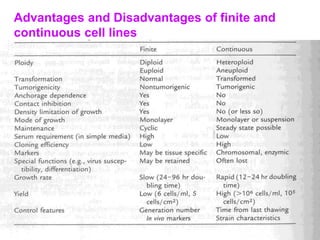cell types.ppt