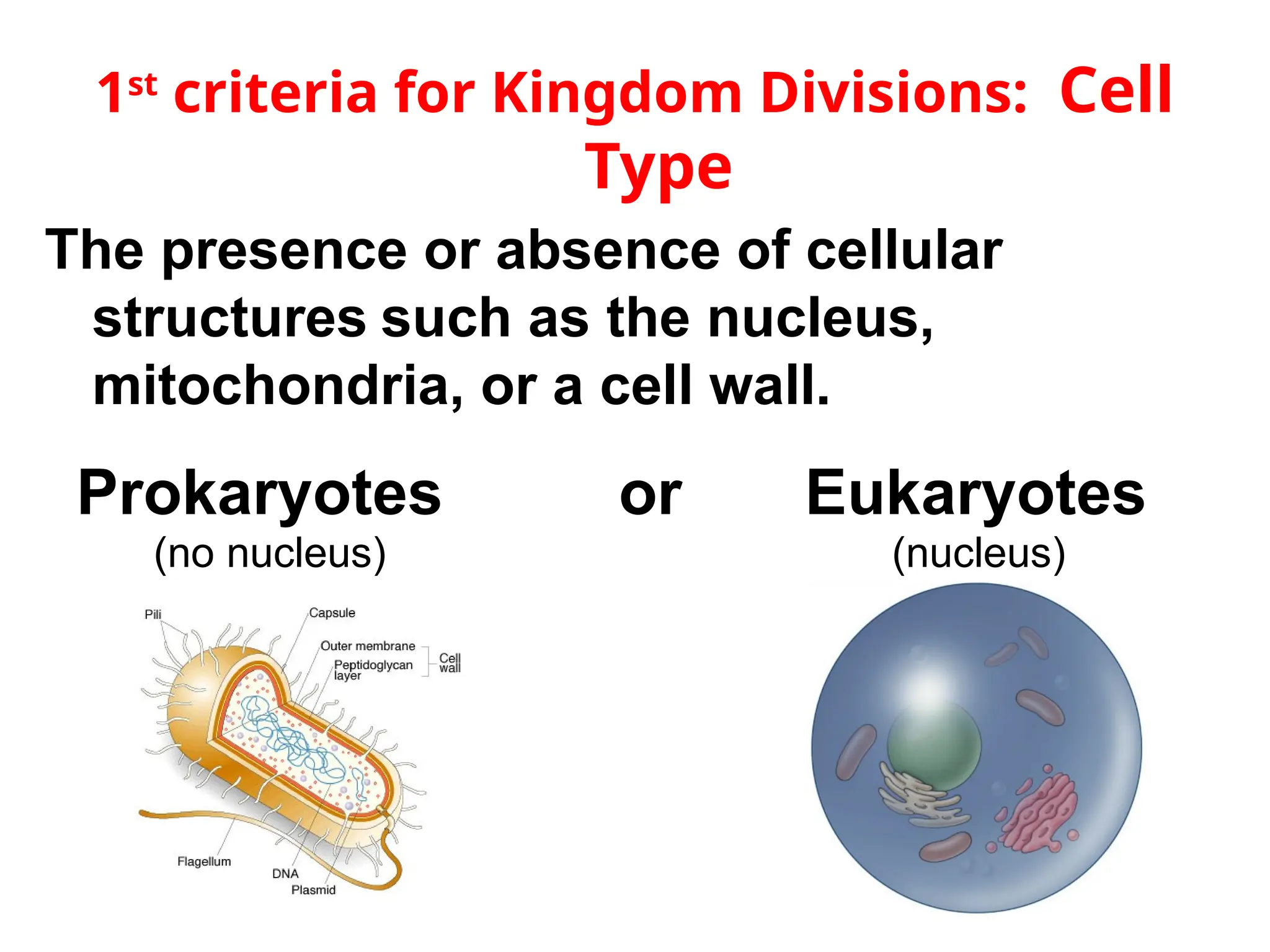 Cell Types and Its function , kingdom of life | PPTX